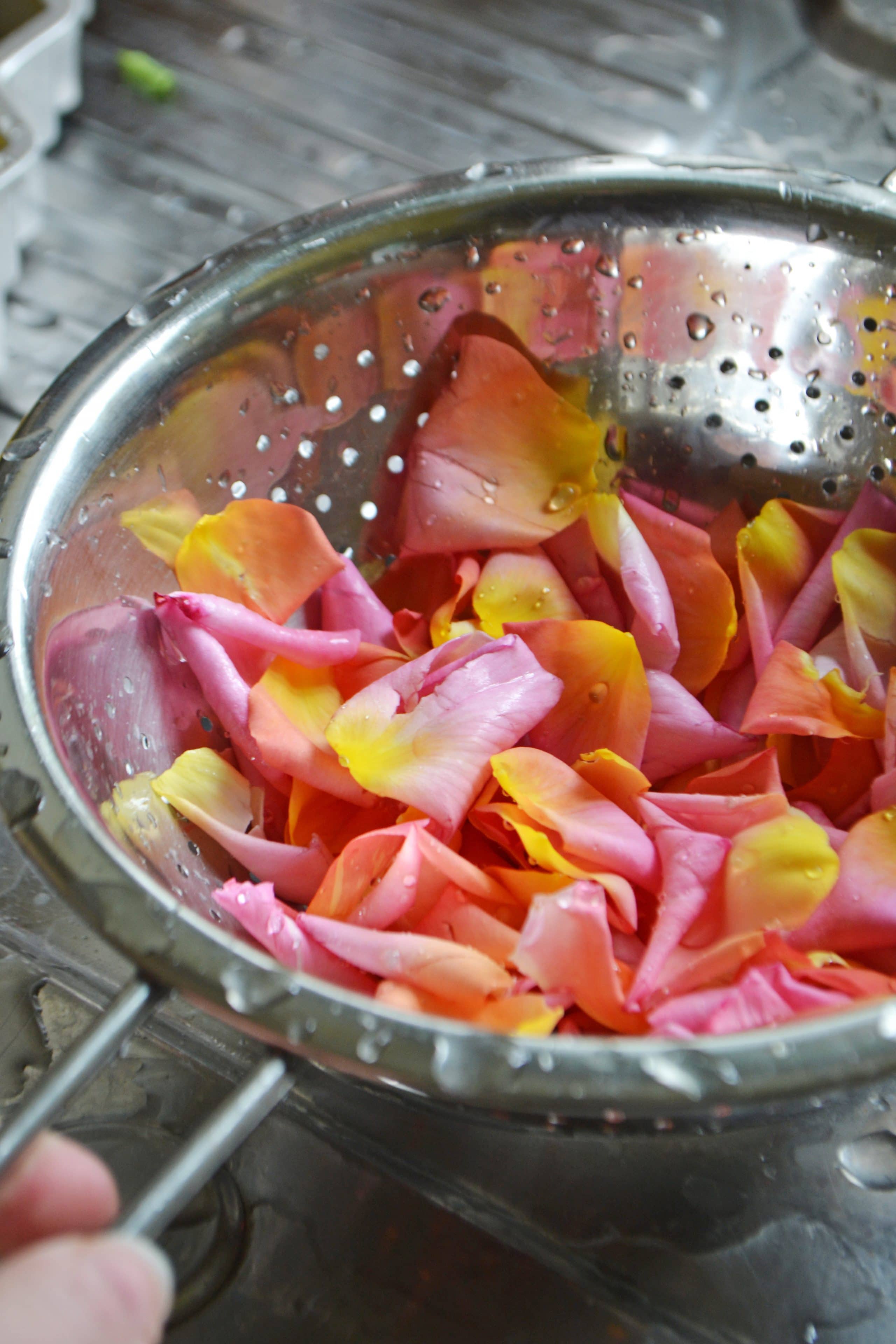Homemade rose water: A quick and easy method - Wallflower Kitchen